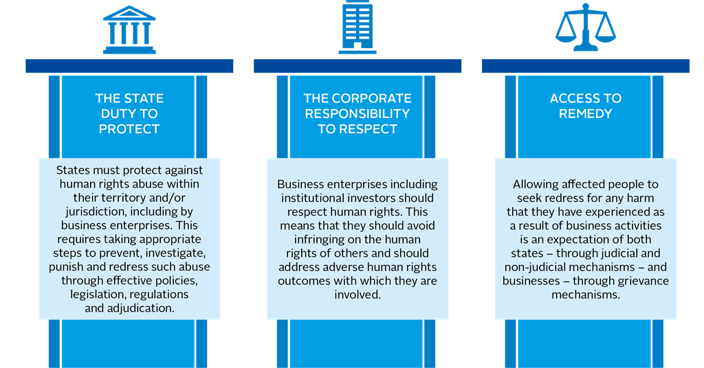 Describe Two Initiatives Carried By The Government To Protect Human Rights